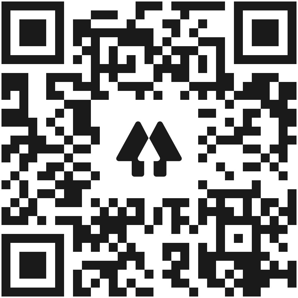 EOT Crane Limit Switches: Your Guide to Safety and Operation